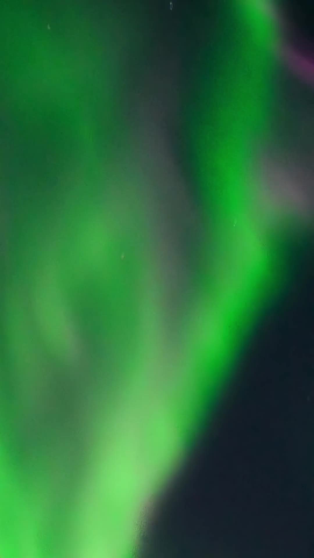 Aurora boreal incrível: luzes dançando na porta do meu hotel!