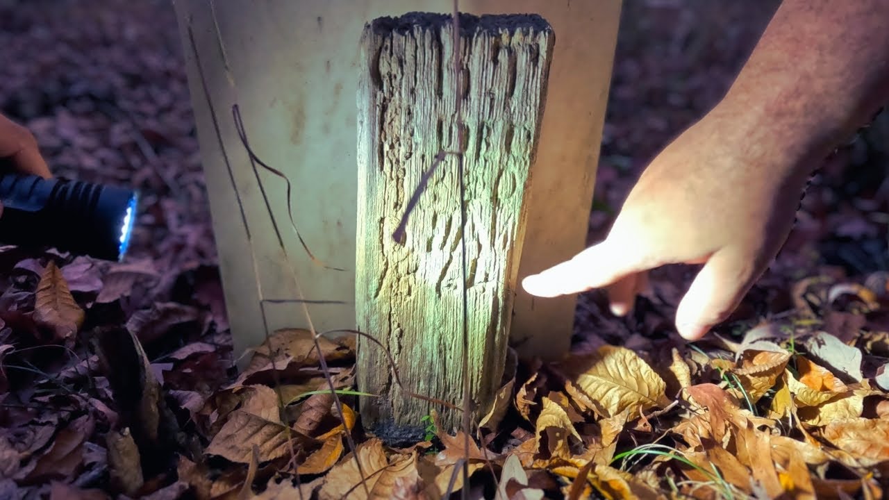We thought it was just another cemetery, then we saw the wooden markers