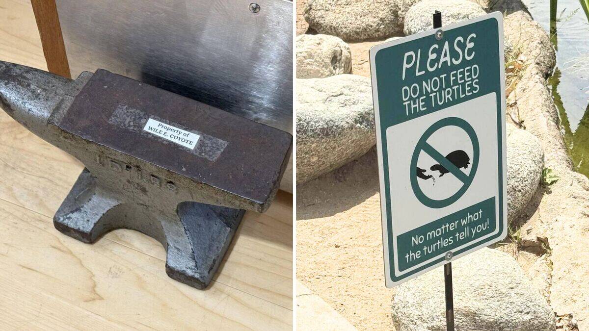 27 humorous pictures that tickled our funny bone