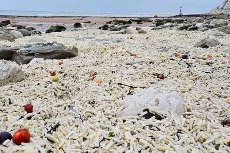Holidaymakers baffled as thousands of chips wash up on beach in tourist ...