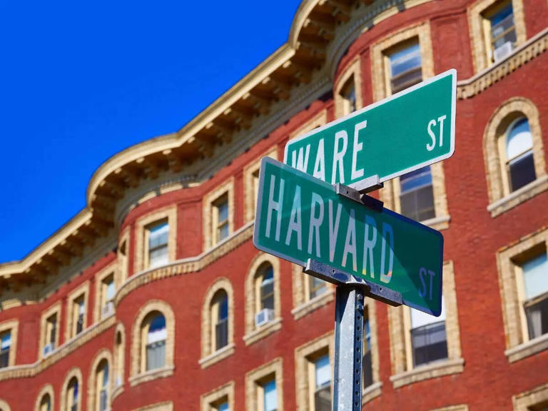 Harvard’s new guidelines ban race references in alumni interviews ...