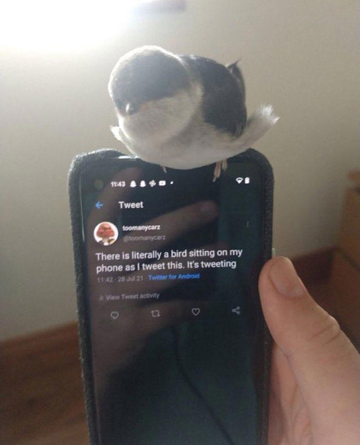 39 funny memes from around the web