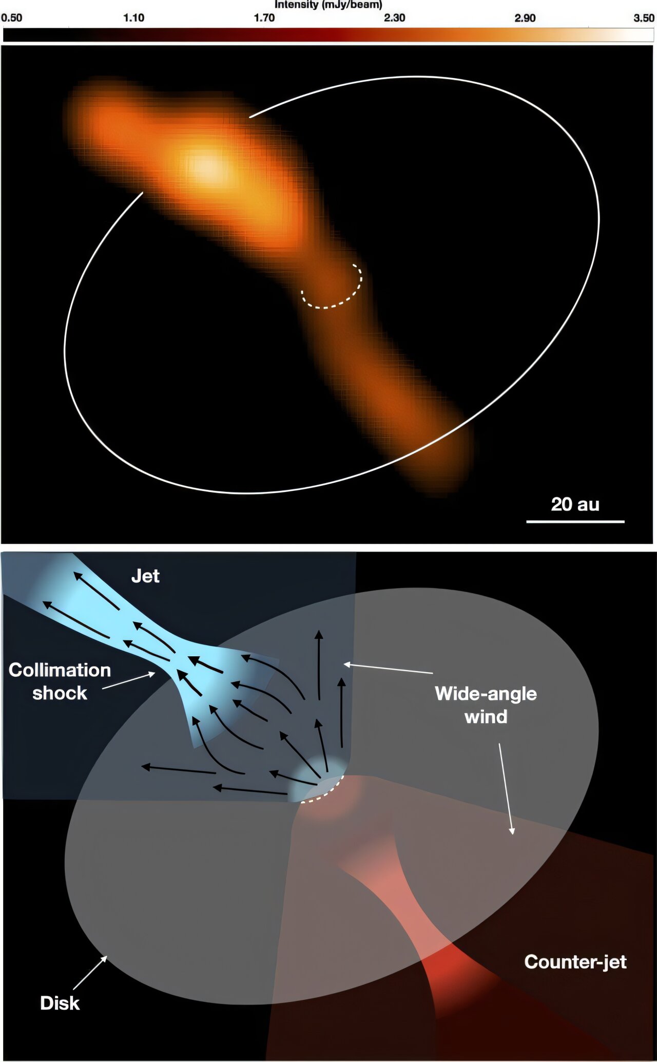 Protostars carve out homes in the Orion molecular cloud