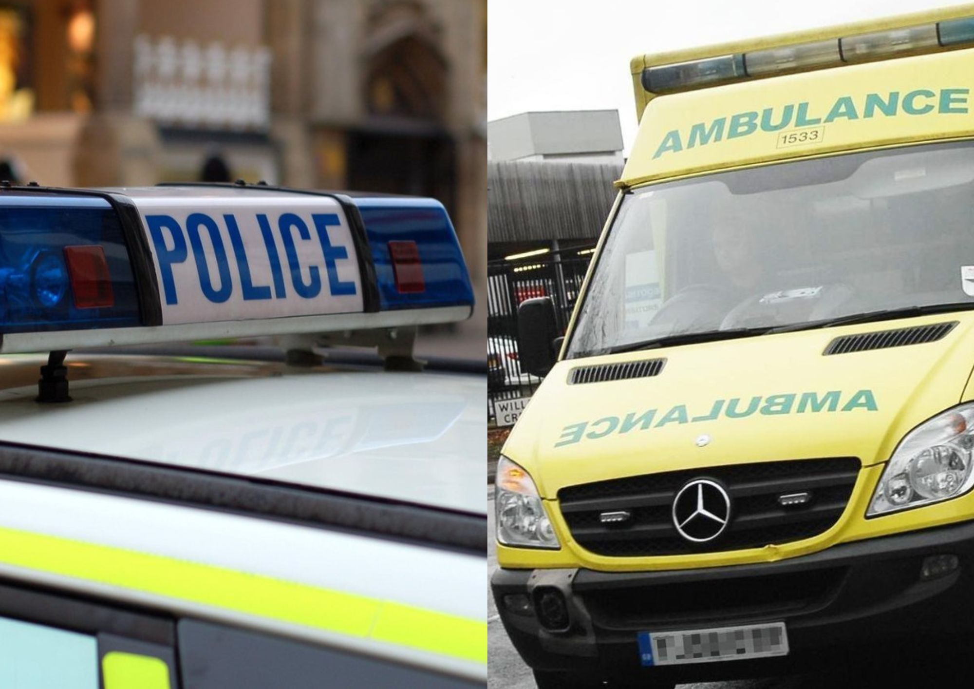 Babies amongst 1,000 people injured by dogs in South Yorkshire over the ...