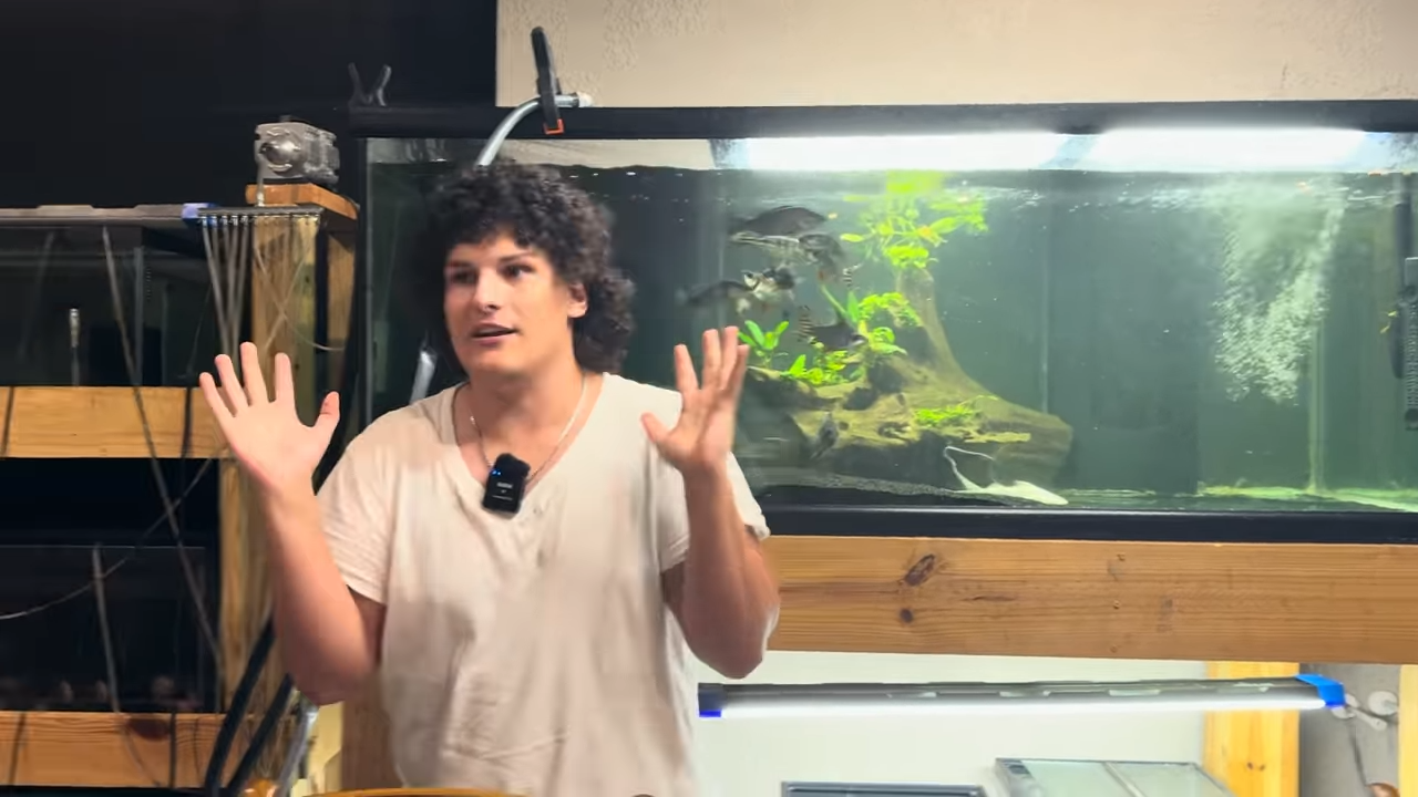 How risky it really is to fish in alligator water