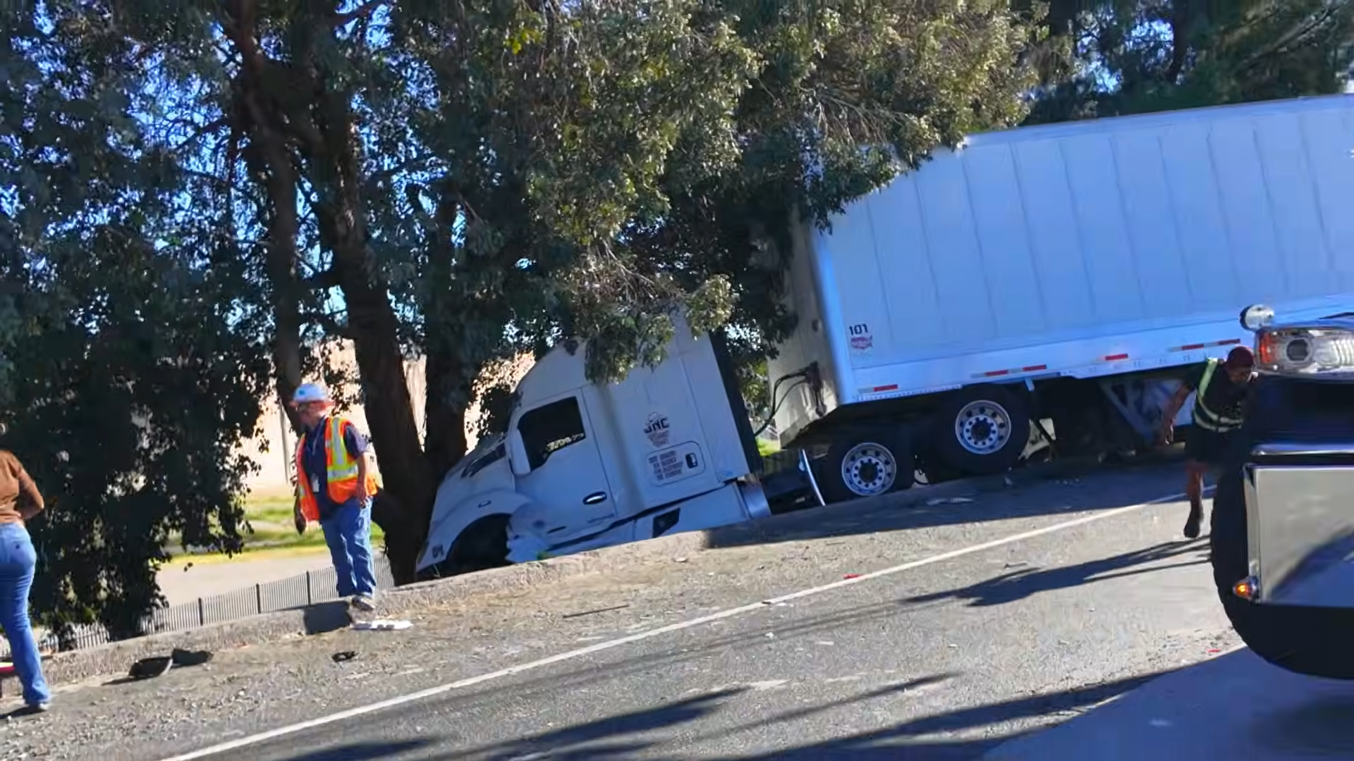 Tractor trailer crash lands into a tree!