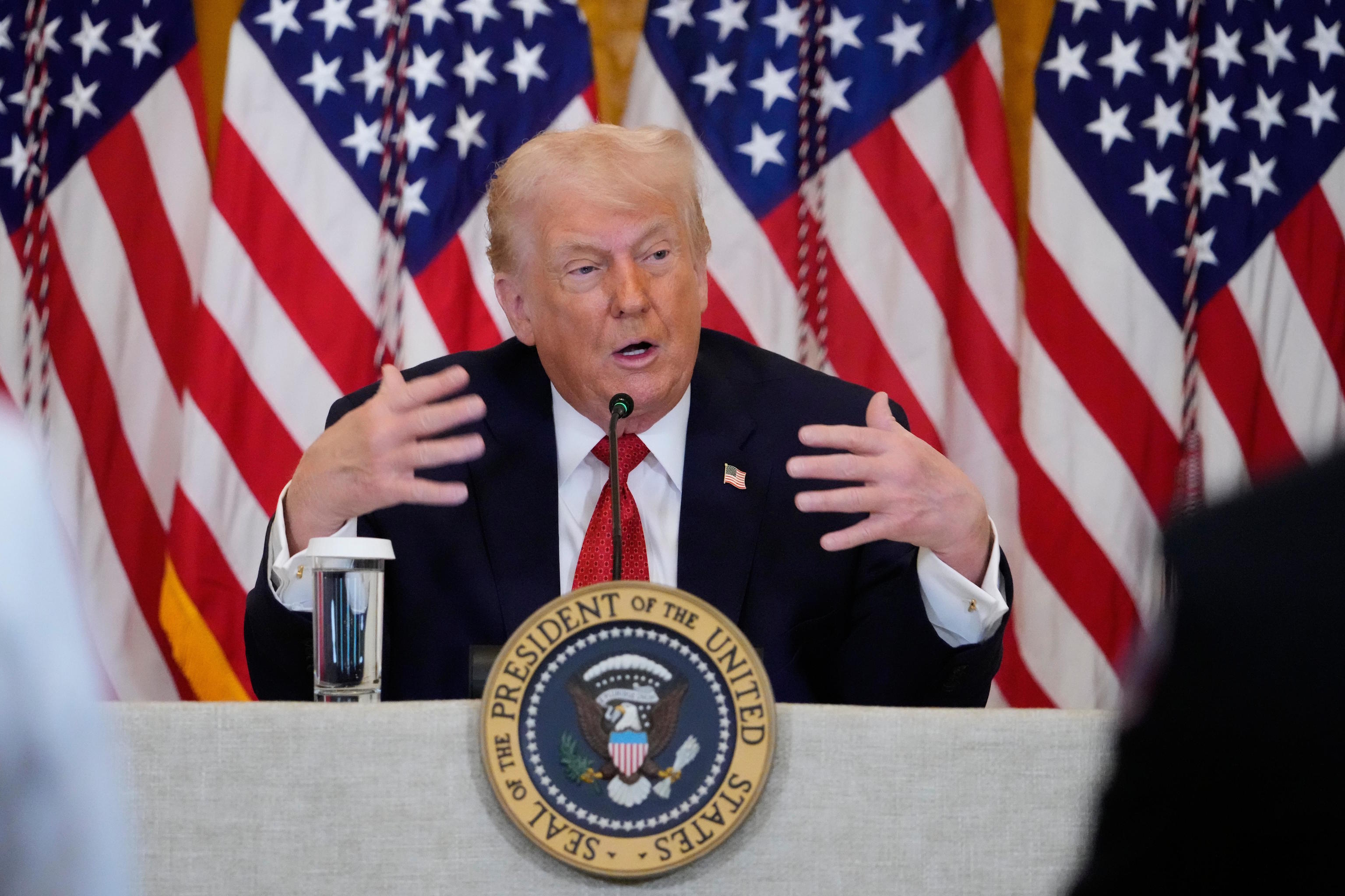 One year of Donald Trump: Revolution, chaos, and a new world order