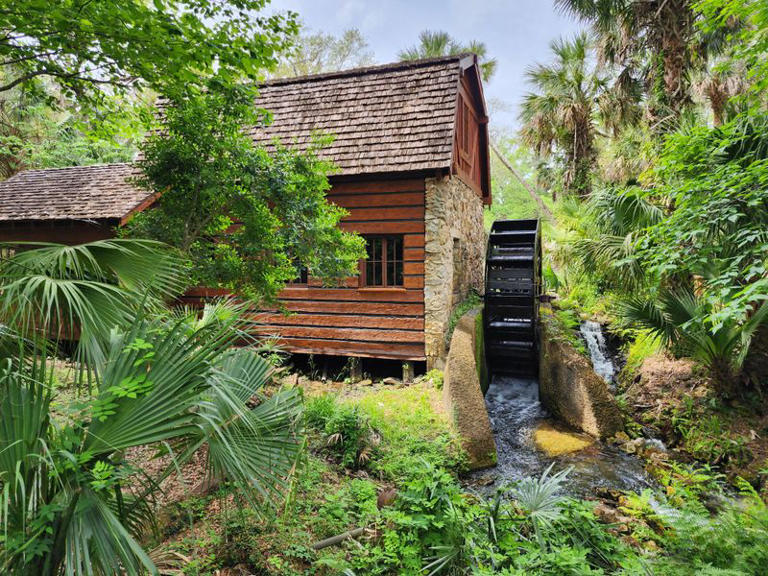 10 dog-friendly parks and campgrounds in Florida perfect for warm ...