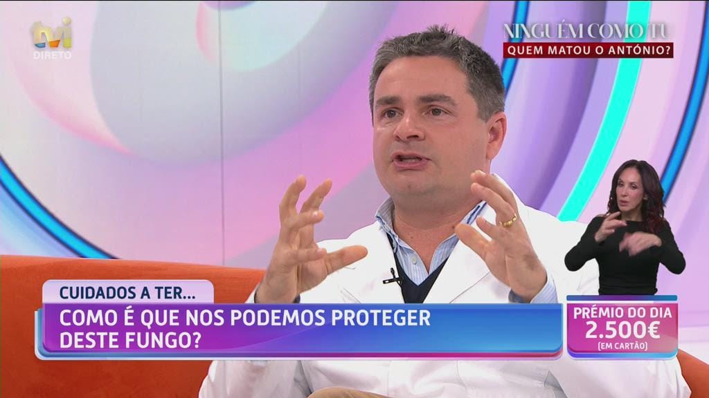 Tudo o que precisa de saber sobre o fungo Candida auris