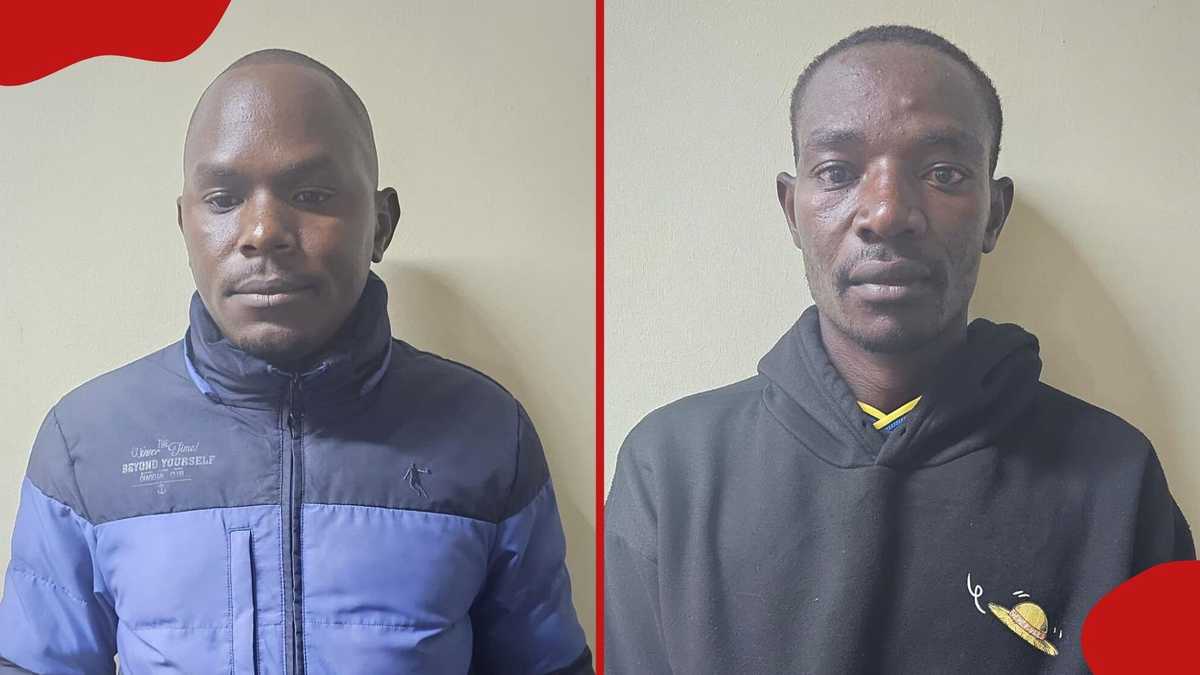 Primary school teacher, accomplice arrested for allegedly publishing ...