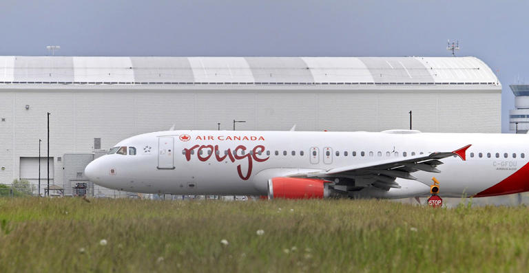 Muffled cries alert jet passengers to worker trapped in cargo hold