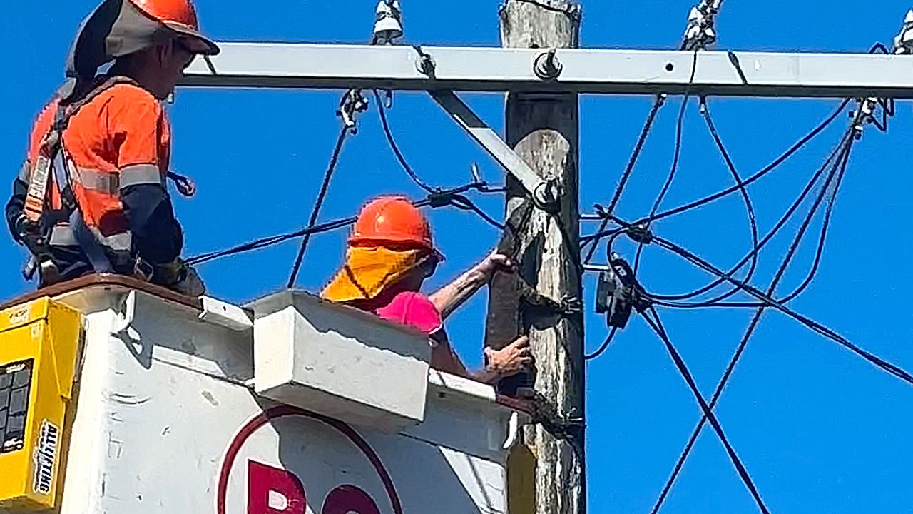 Huge goanna rescued after mistaking electricity pole for tree