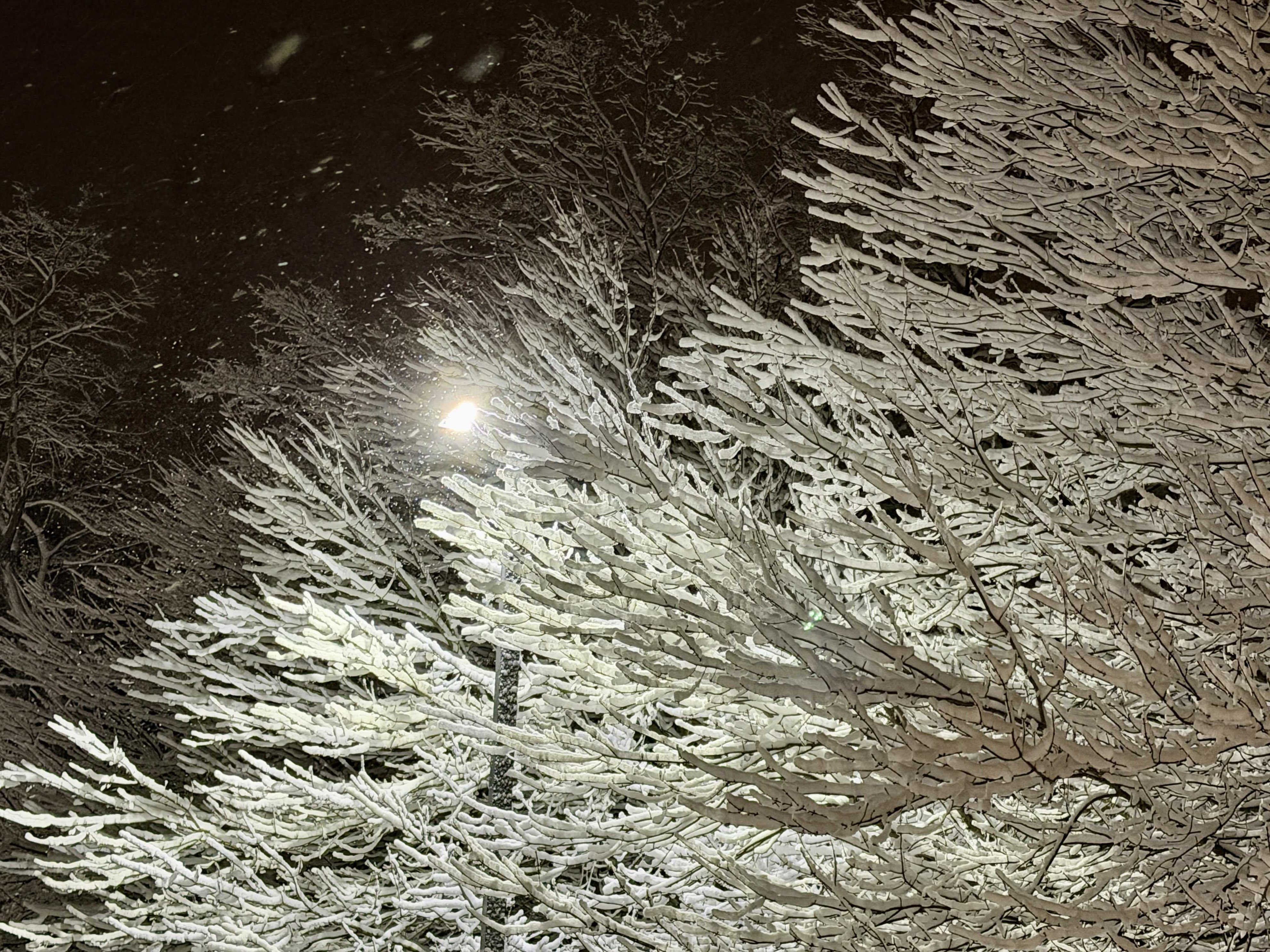 How much snow has fallen? Latest totals from across Mass.