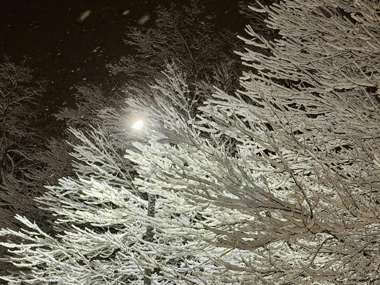 How much snow has fallen? Latest totals from across Mass.