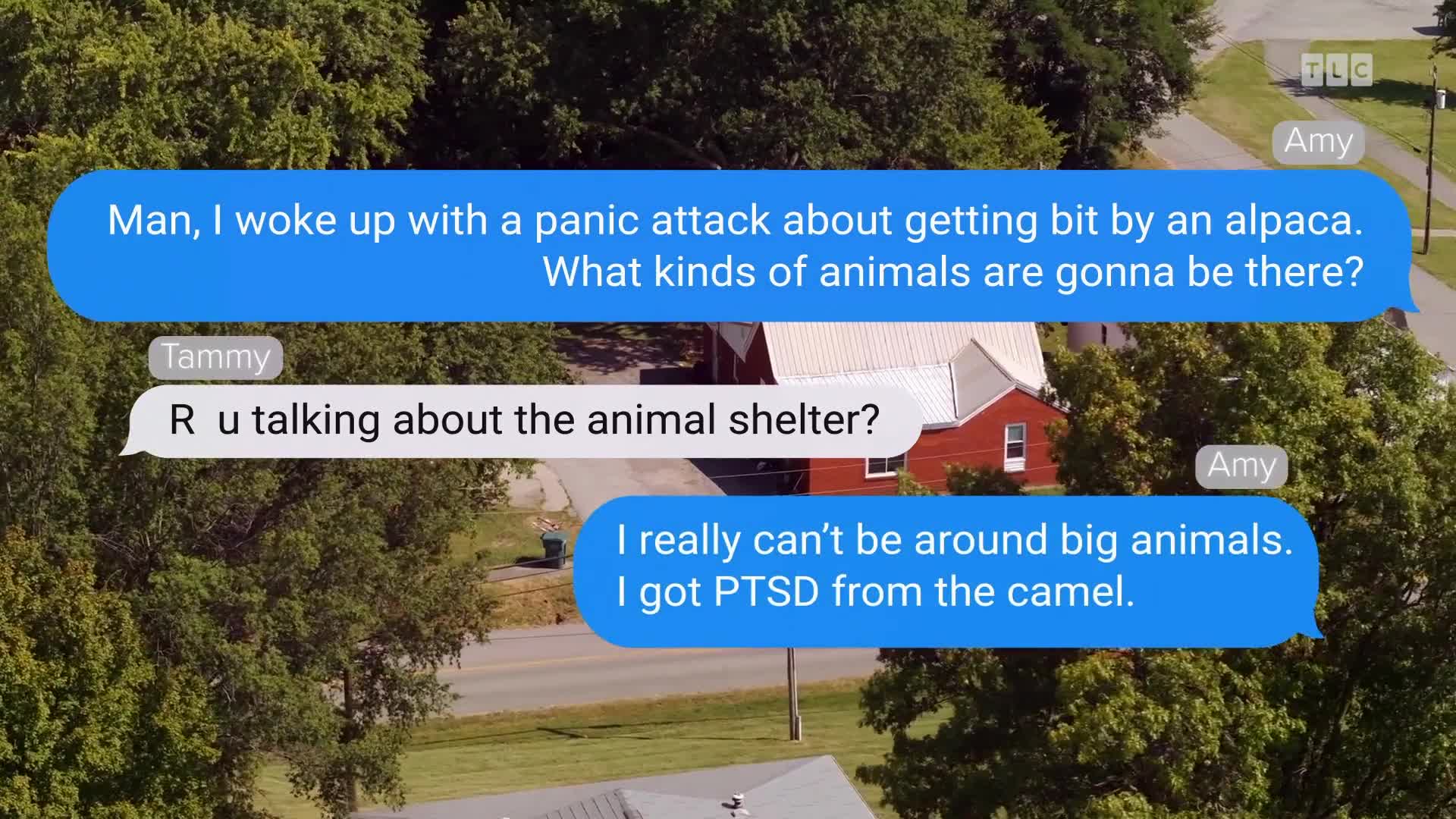 '1000-lb Sisters': Tammy & Amy Slaton erupt in explosive fight ...