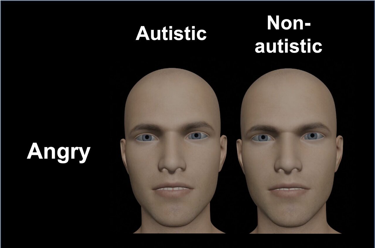 Autistic and non-autistic faces differ in expressing anger, happiness ...