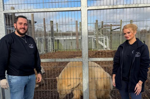 Colchester fishmonger donates fish byproducts to Jimmy's Farm