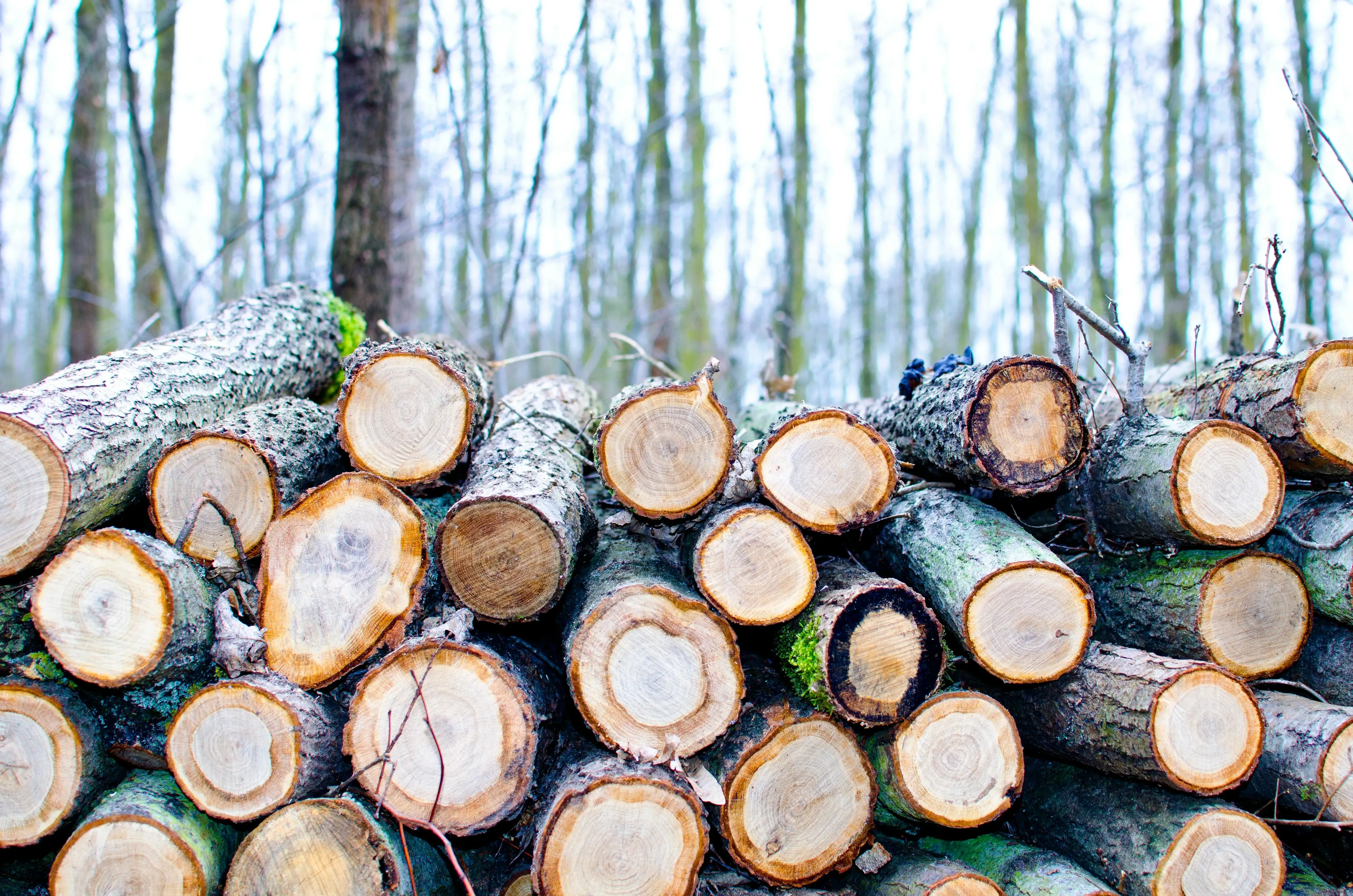 10 natural resources used before modern alternatives