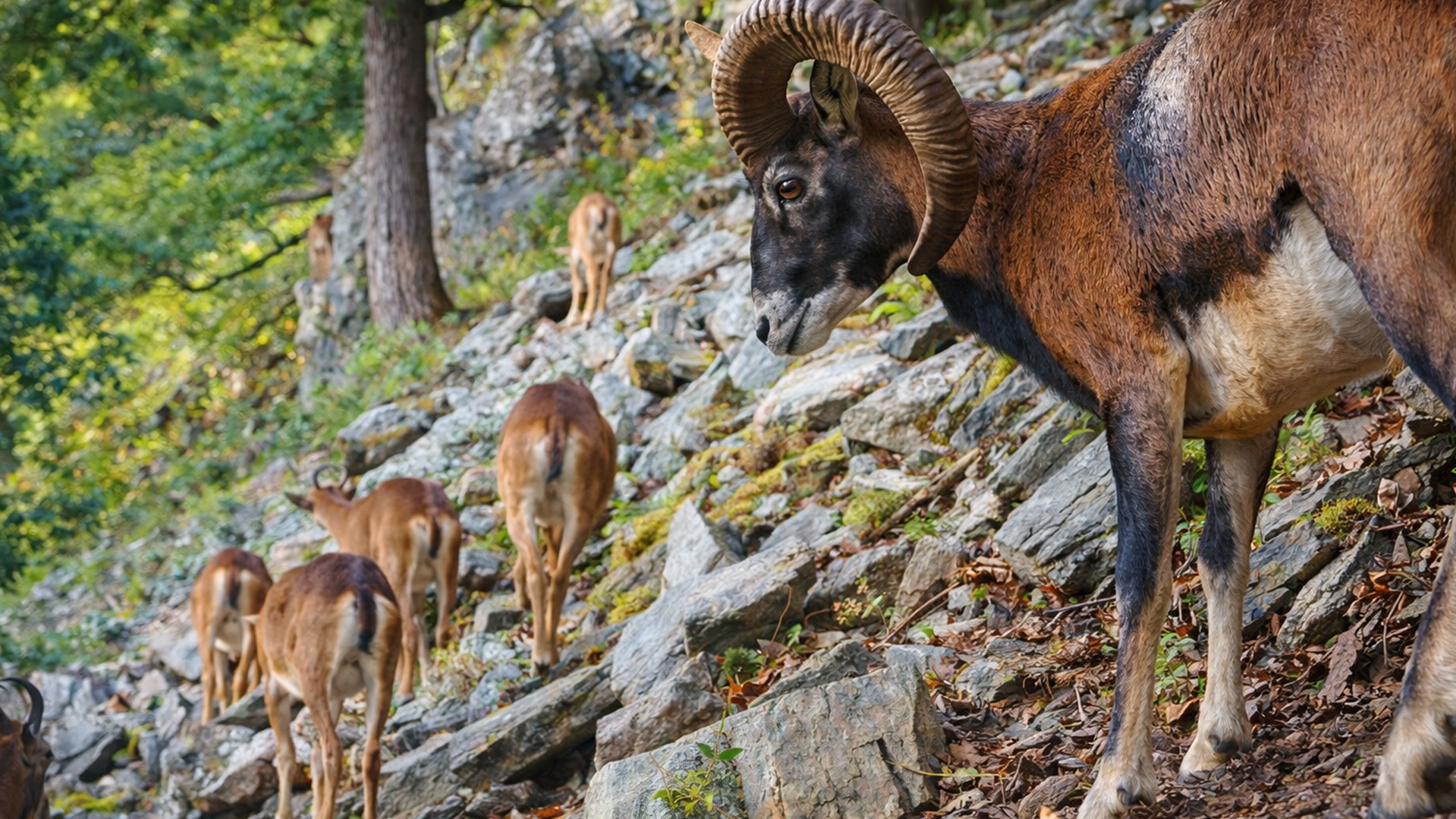 I set up a camera for a week and here’s what it captured