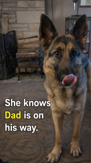 She knows dad is on his way