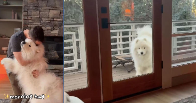 Video: Dog begins the day with a "Morning Hug"