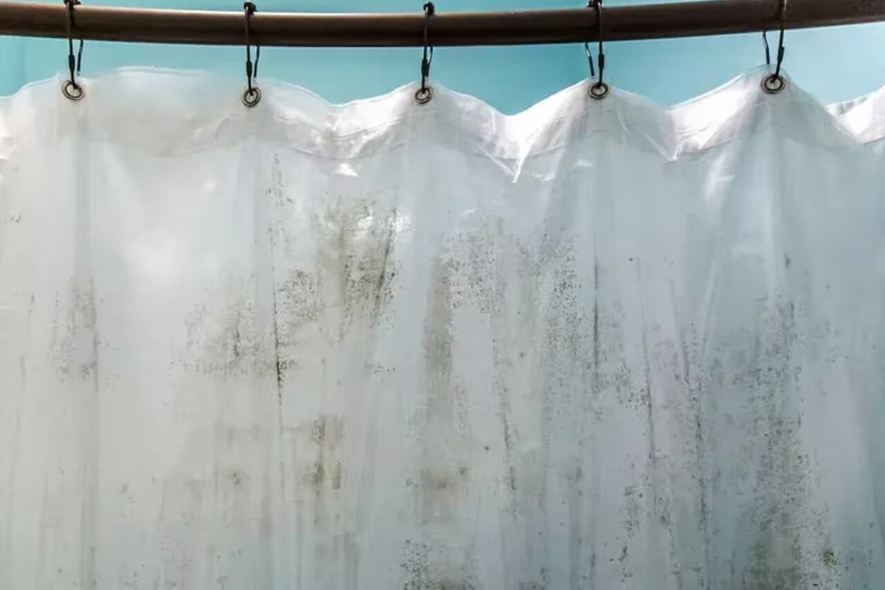 El truco secreto para quitar la humedad de las cortinas de baño