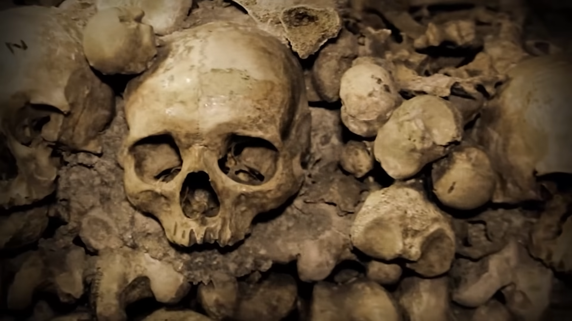 A doctor's dig uncovered something... and authorities covered it up