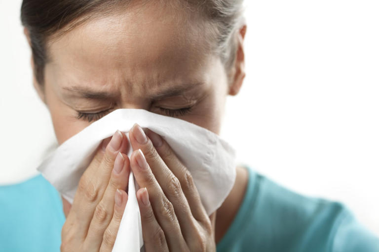 The secret weapon to fight a cold is inside your nose, new study finds