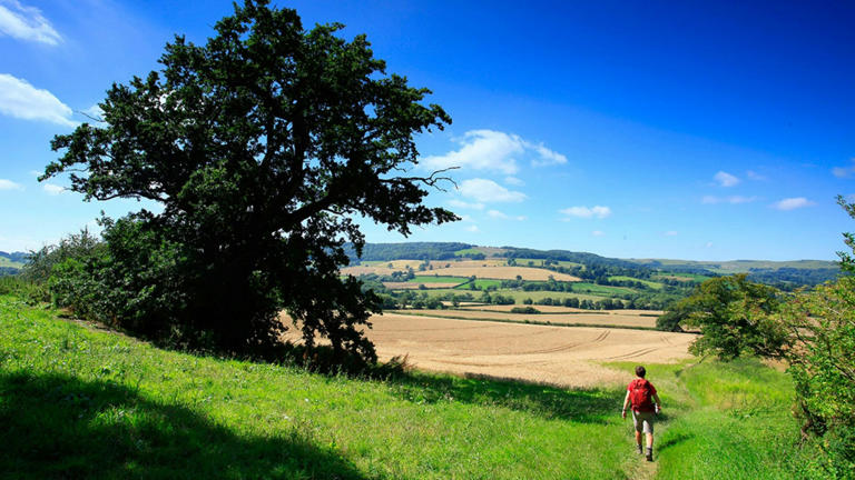 Best walks in the Cotswolds: Rolling hills, open meadows and ...