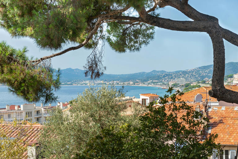 Anti-tourism cities: Where visitors are getting pushed back