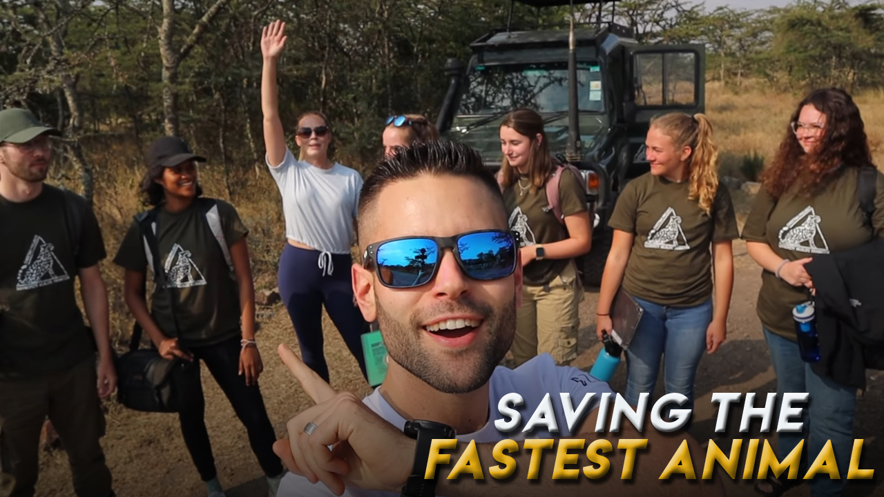 A global effort to save cheetah: Inside Ol Pejeta’s conservation mission