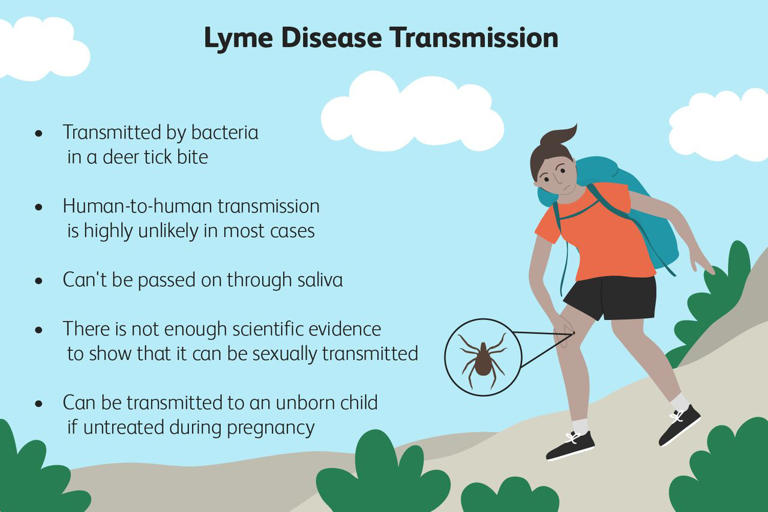 Is Lyme disease contagious from person to person?