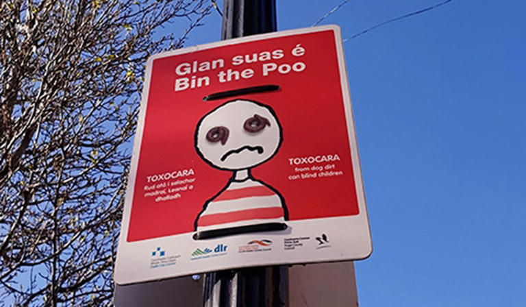 Forensic methods could nab Dublin dog owners that don’t pick up litter