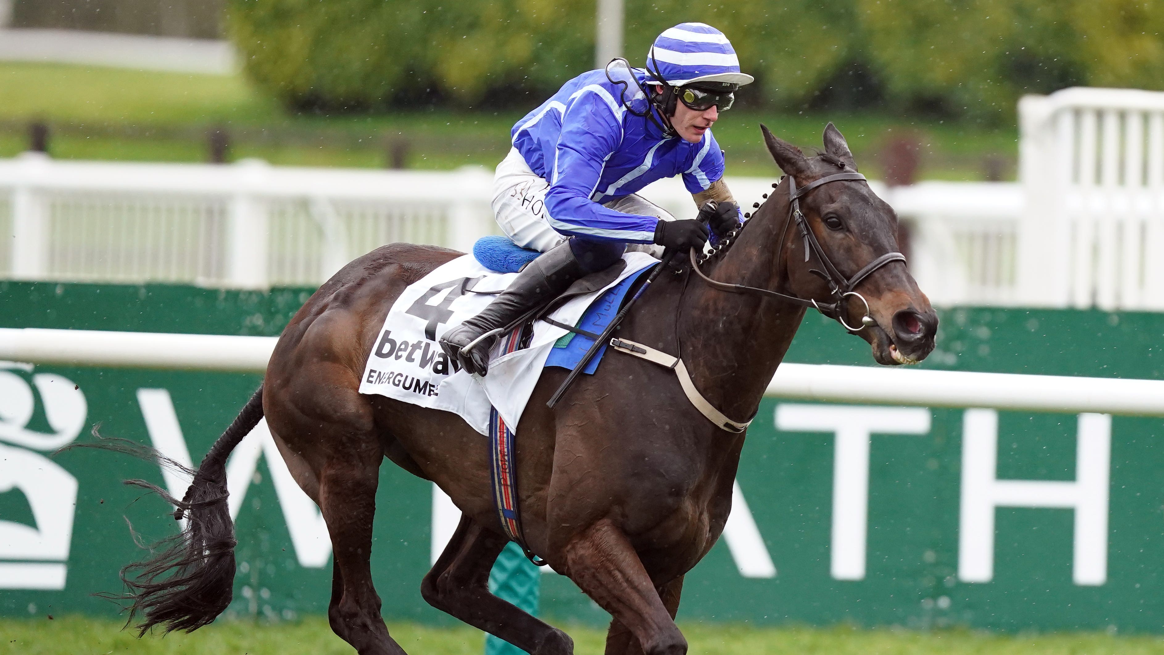 Options open for Energumene ahead of possible Ryanair run