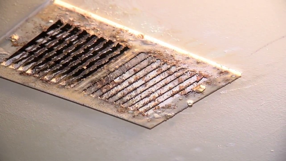 Water damage, mold place SC 7th in the country in housing issue ...