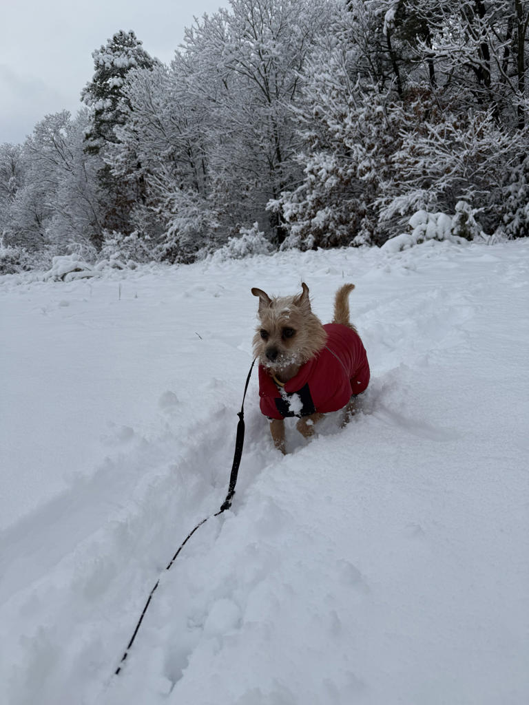 Cleanup underway after snow blankets southern New England