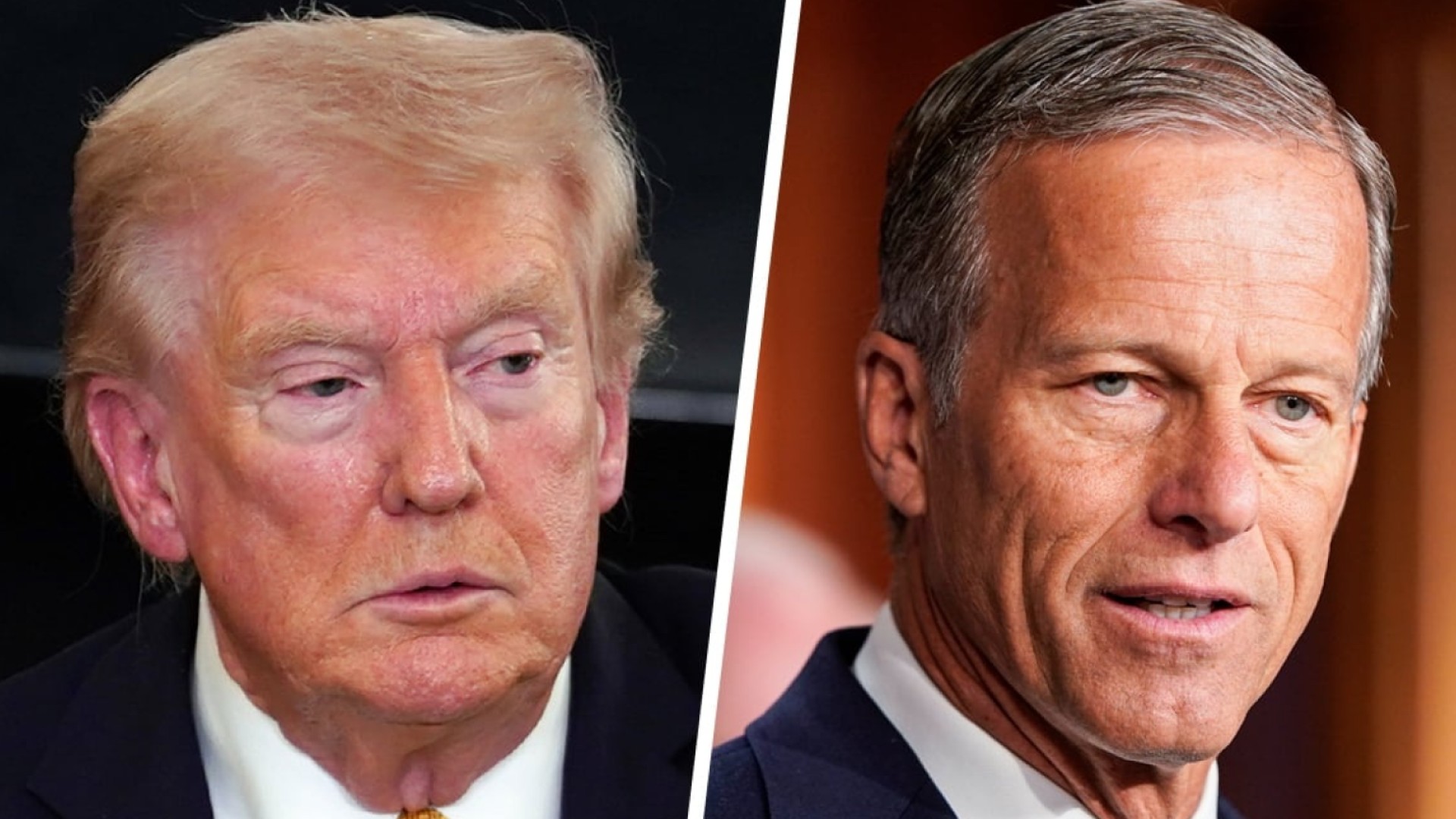 Thune 'tried to talk Trump out of' endorsing primary challenger to ...