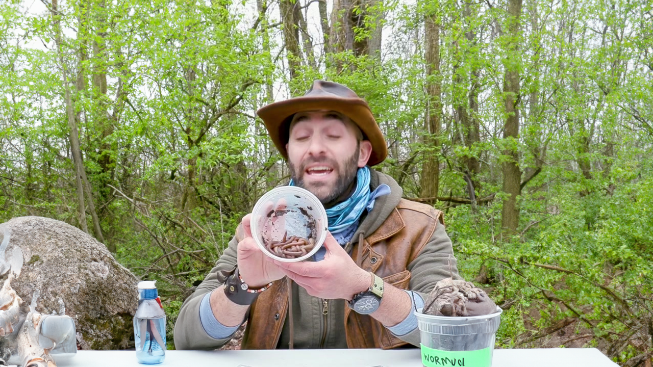 Inside a modern worm farm