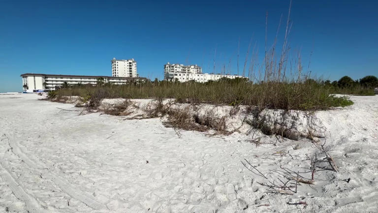 Restoration to bring up to 300,000 cubic yards of sand to Lido Beach ...