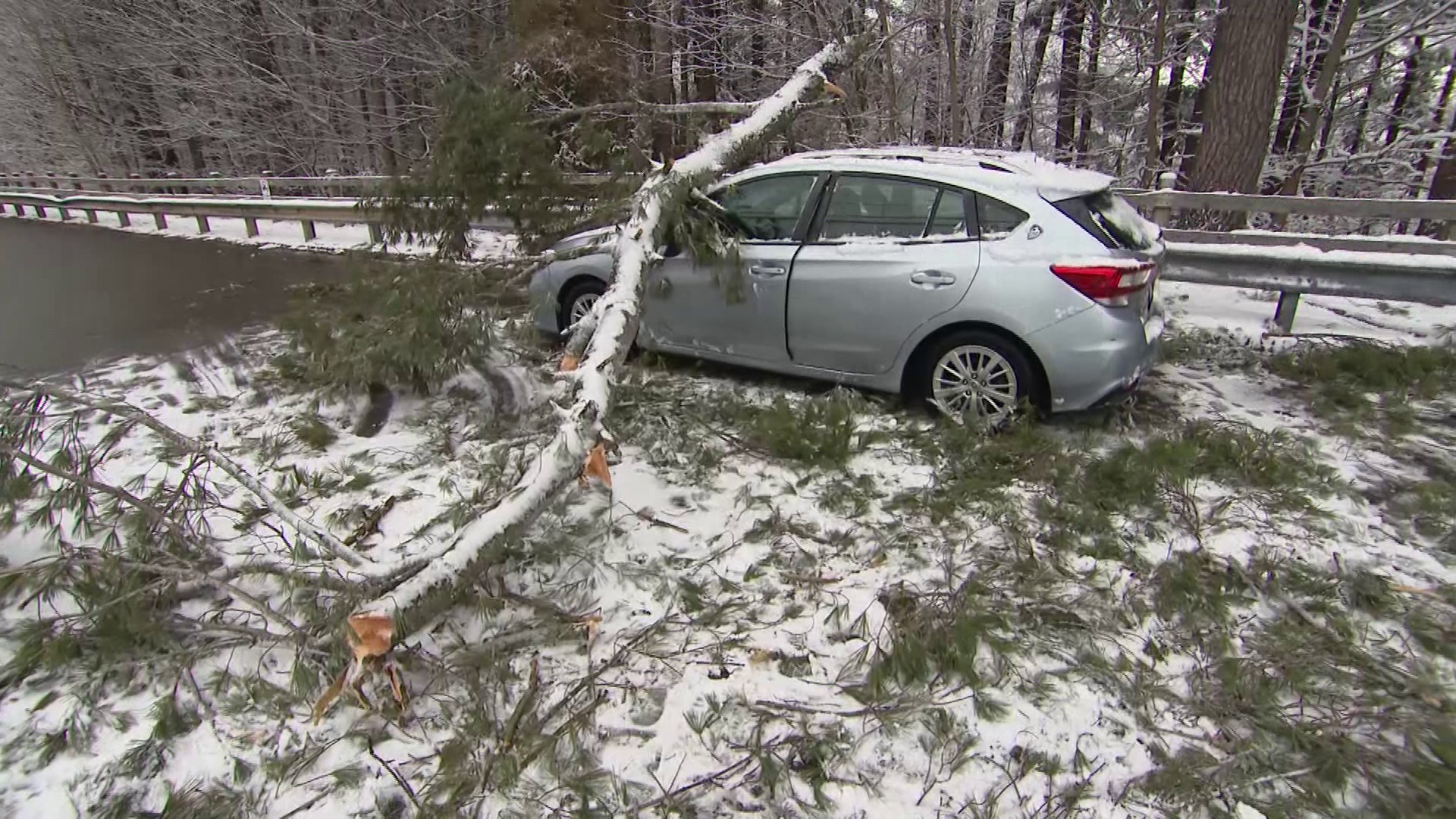 'All of a sudden, I heard a crack!': Massive branch falls onto car