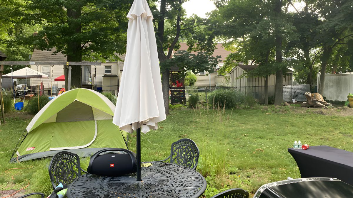 Beat this optical illusion in 19 seconds by spotting the hidden deer in ...