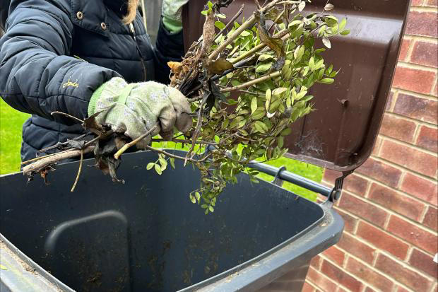 How to sign up for garden waste collections across Darlington this year