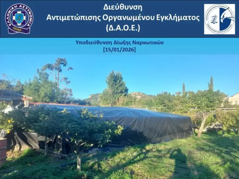 Κύκλωμα καλλιέργειας ναρκωτικών στη Ρόδο: Προσωρινά κρατούμενοι και οι ...