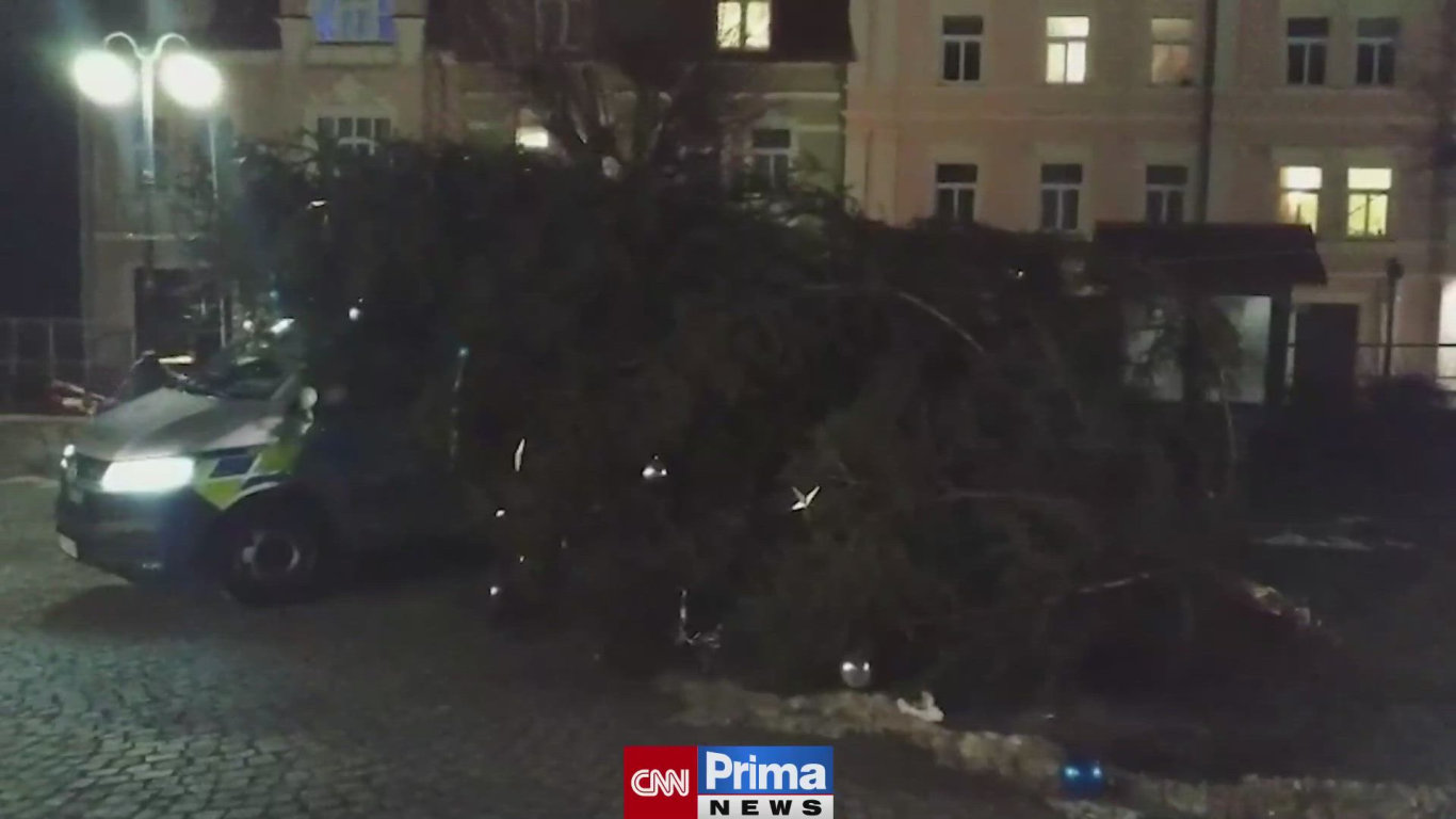 Na auto policistů spadl vánoční strom