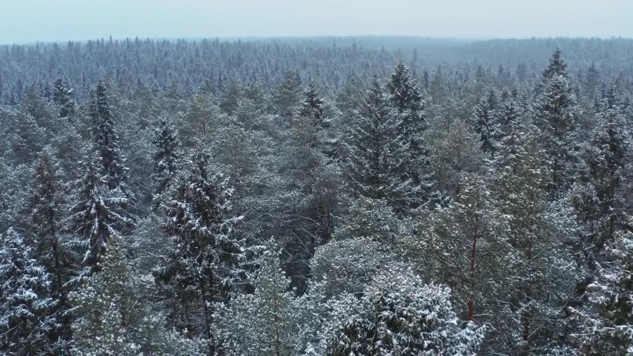 Land of ice and silence: A drone voyage over Siberia