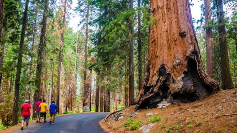 Hiker shares photo of tourist's dangerous behavior near a deadly drop ...