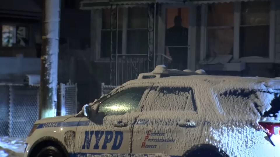 Man mauled to death by pit bull in Staten Island home