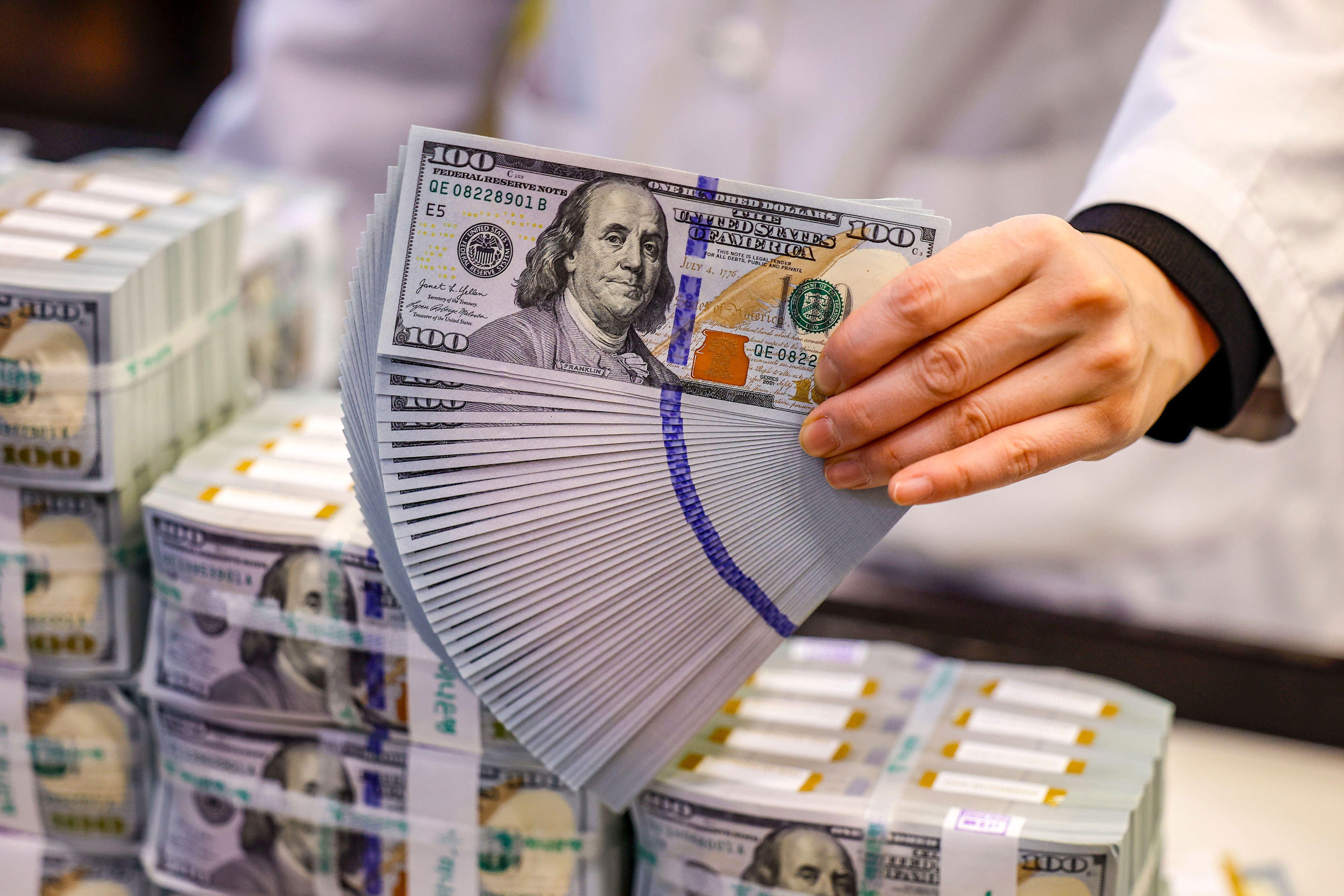 Exclusive: South Korea's foreign exchange reserves at 20% of GDP