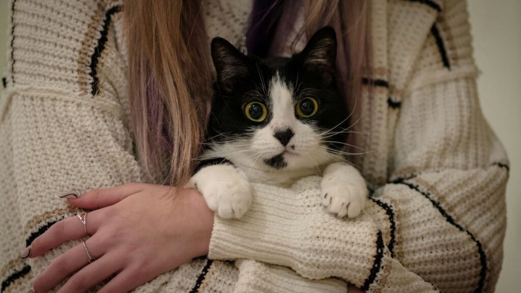 Cats may talk differently depending on owner’s gender