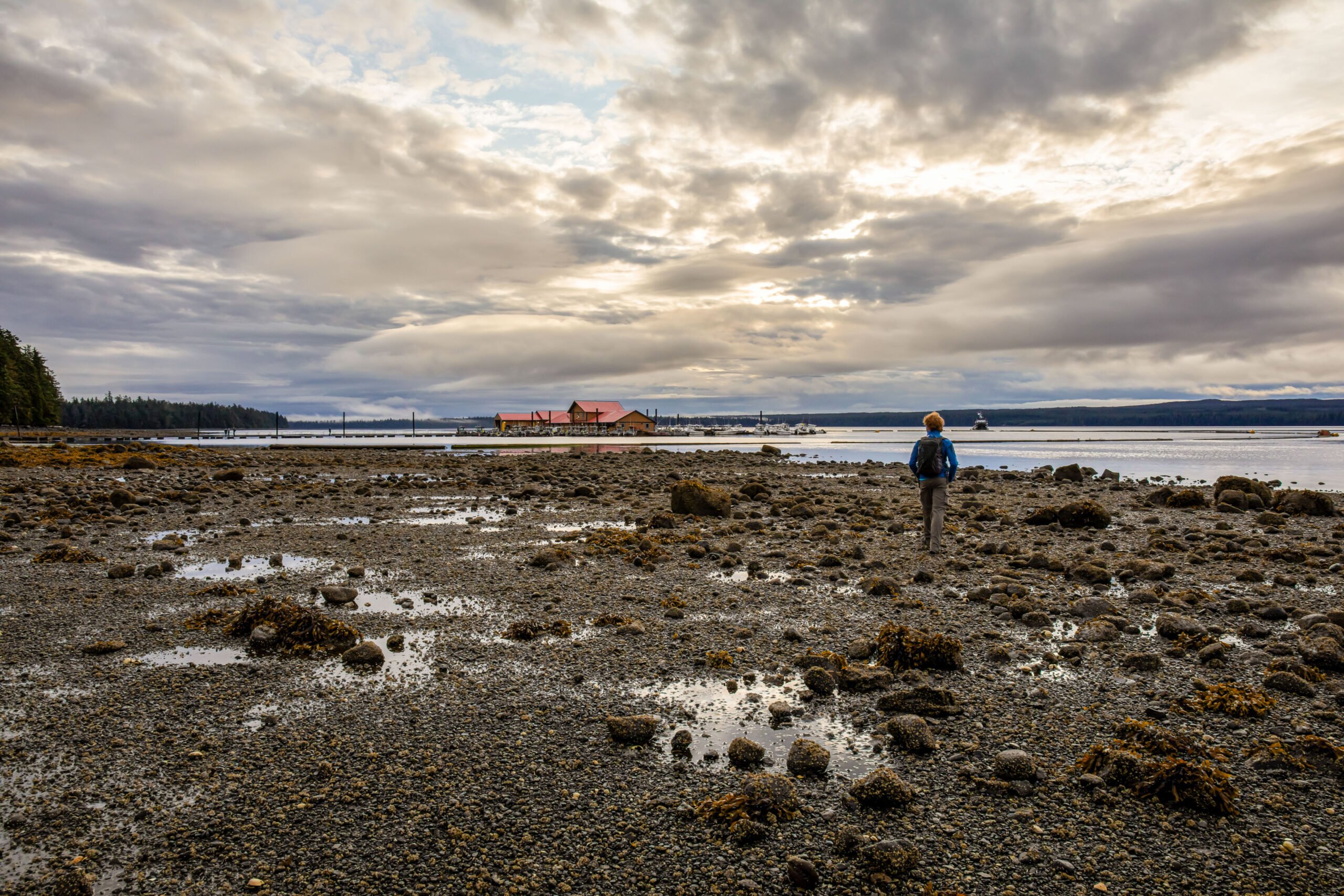 Even the oil industry knows we don’t need a new pipeline